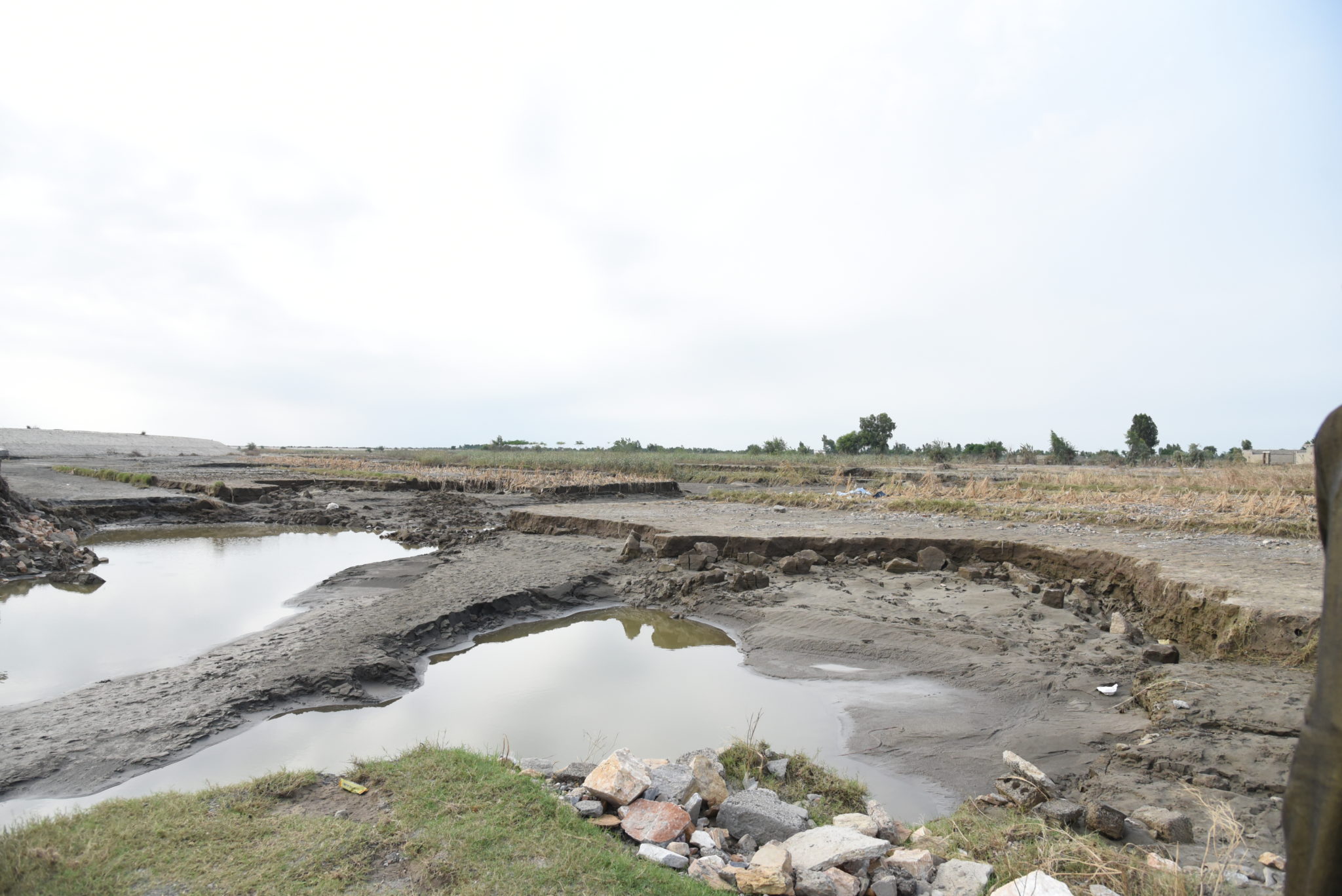 IRC — Partner — Trafigura Foundation