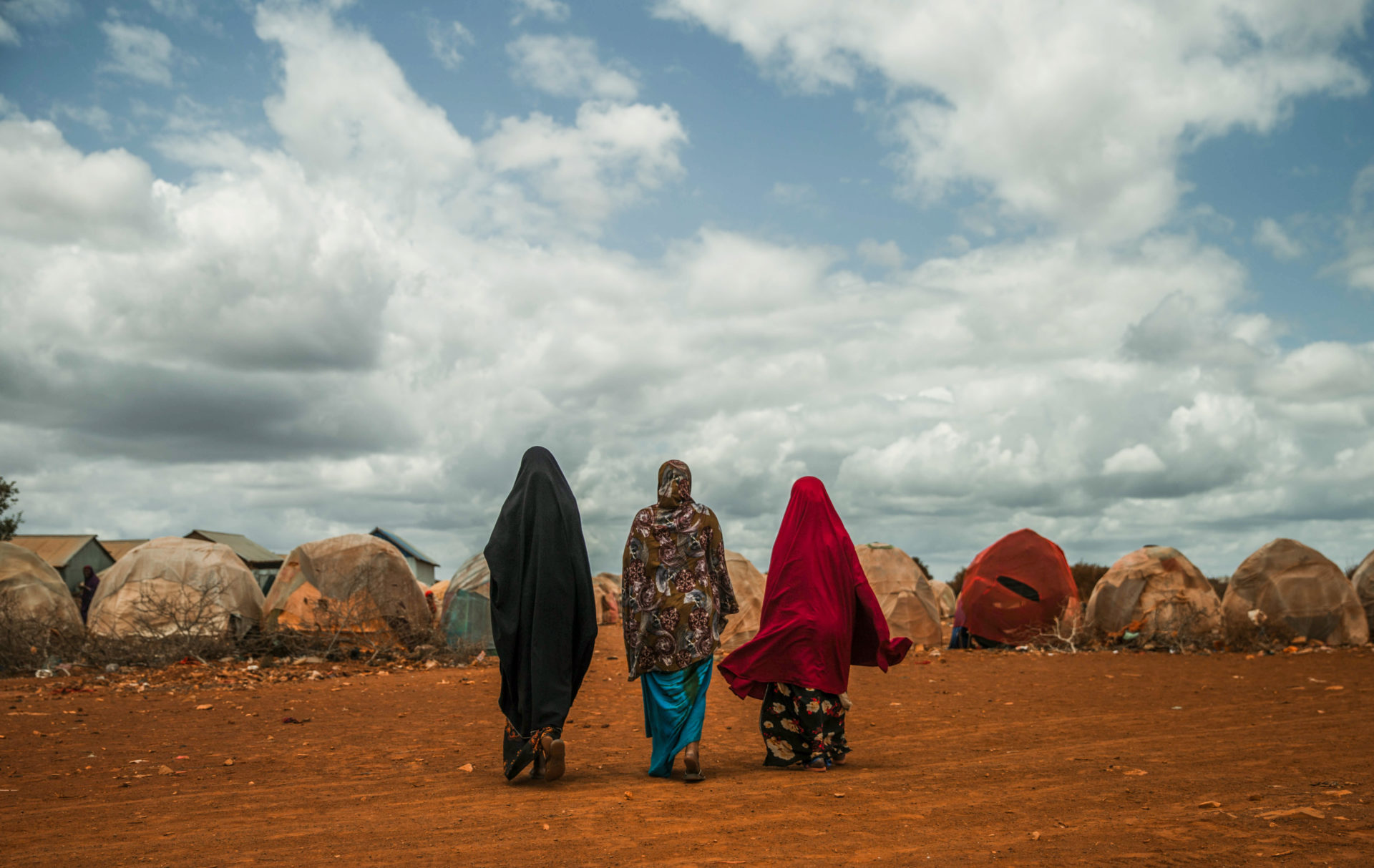 IRC — Partner — Trafigura Foundation