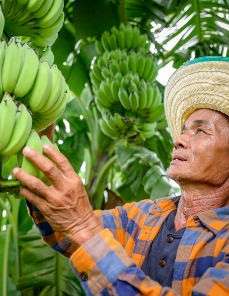 The Approach of Trafigura Foundation: Investing in Positive Change ...