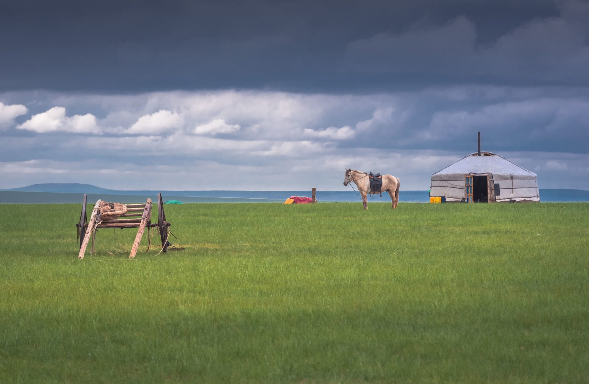 Eternal Mongolia — Partner Stories — Trafigura Foundation